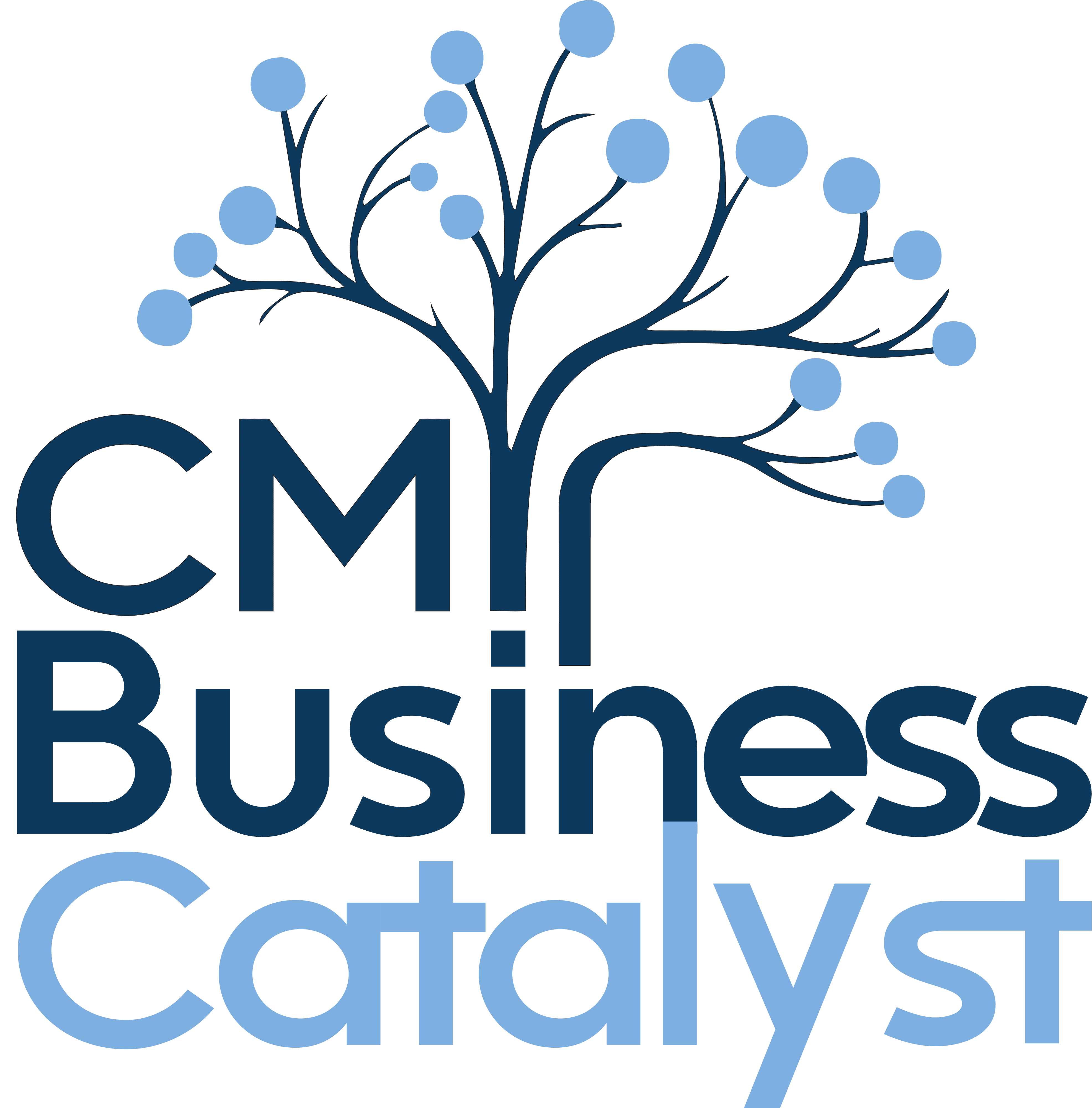 CM B - PLAN